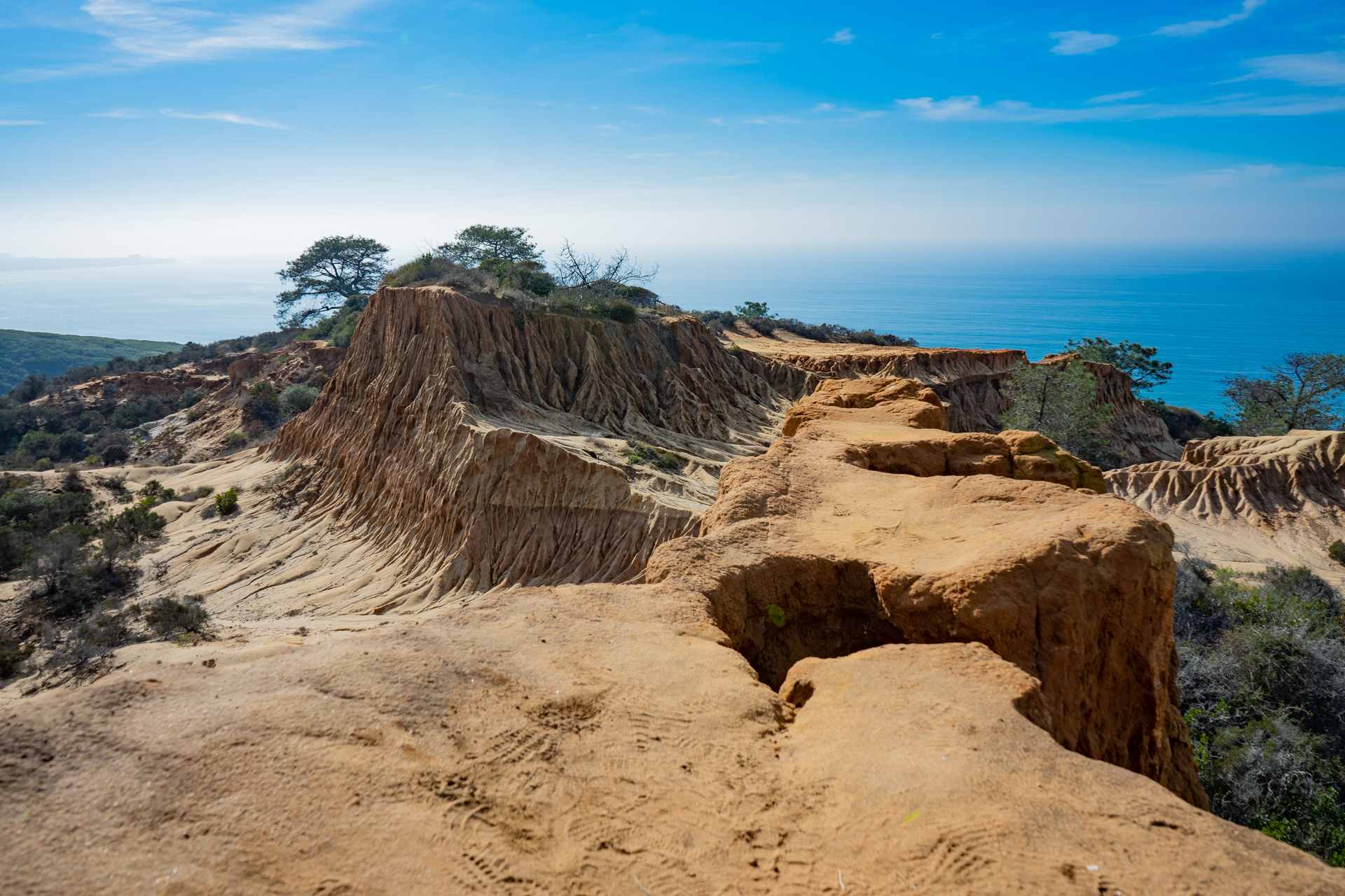 Torrey Pines Hiking Guide [2026]