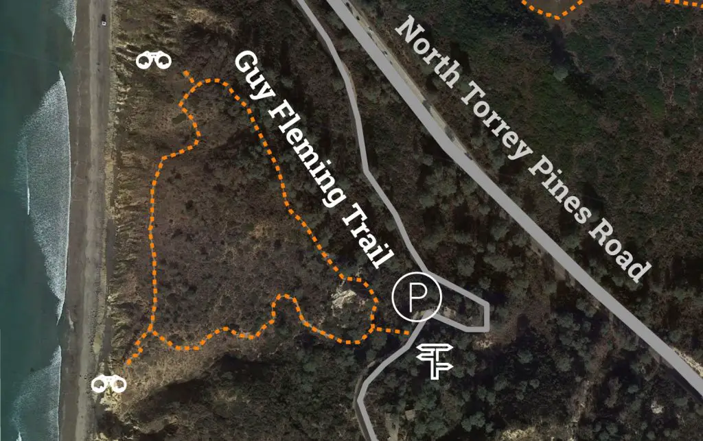 Torrey Pines Hiking Guide 2022