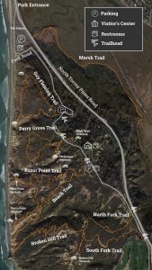 Torrey Pines Hiking Guide [2025]