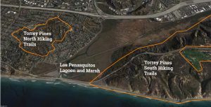 Torrey Pines Hiking Guide [2025]