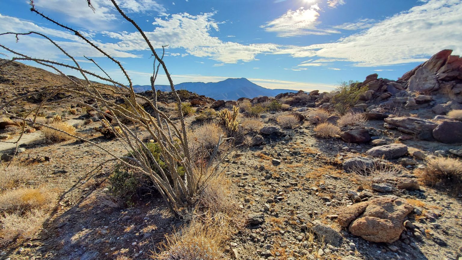 Bill Kenyon Trail Guide | Outdoor SoCal