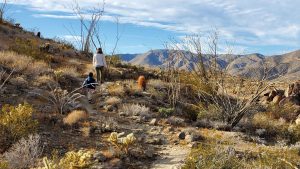 Yaqui Pass Primitive Campground Guide | Outdoor SoCal