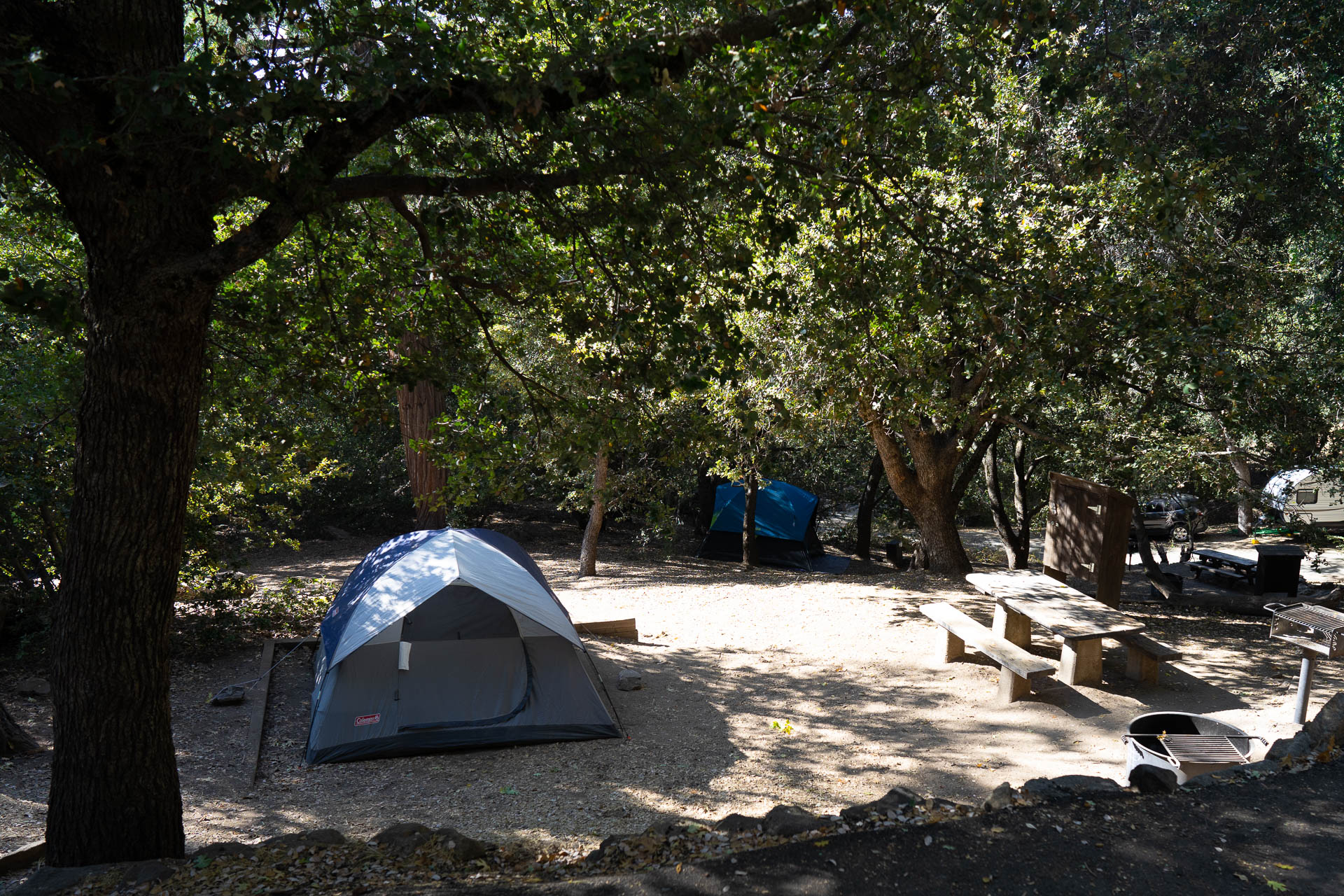 Palomar Mountain Camping Guide 2025 (State Park and National Forest ...