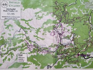 Idyllwild Mountain Biking Guide | Outdoor SoCal