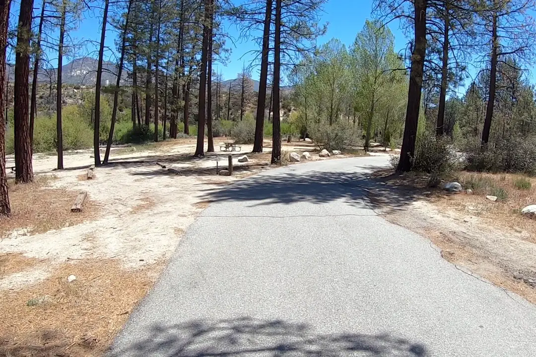 Hurkey Creek Park Campground Guide 2025