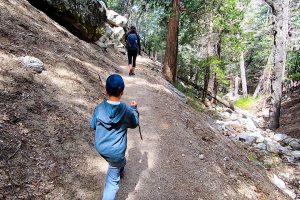 Idyllwild Adventure Guide: Hiking, climbing, mountain biking and more