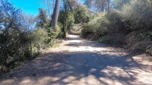 Boucher Hill Loop Trail Guide | Outdoor SoCal