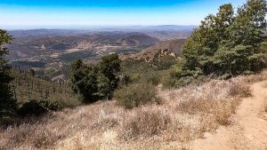 Boucher Hill Loop Trail Guide | Outdoor SoCal