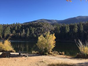 Jenks Lake Trail Guide 2025