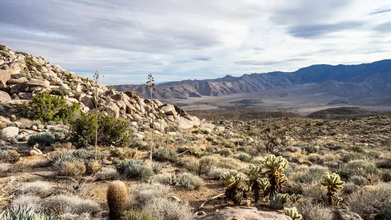 Marshall South Trail Guide - Anza-Borrego | Outdoor SoCal