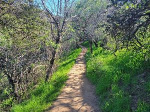 Fryman Canyon Trail Guide | Outdoor SoCal