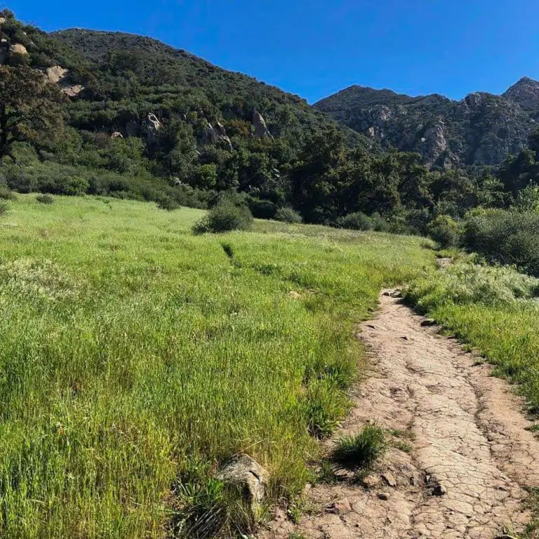 Rattlesnake Canyon Trail Guide | Outdoor SoCal