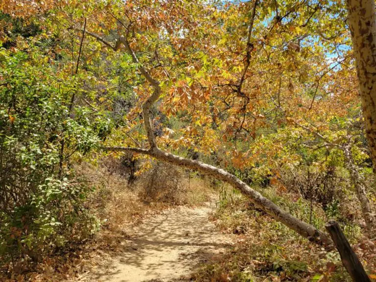 Temescal Canyon Trail Guide | Outdoor SoCal