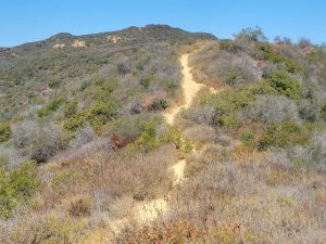 Temescal Canyon Trail Guide | Outdoor SoCal