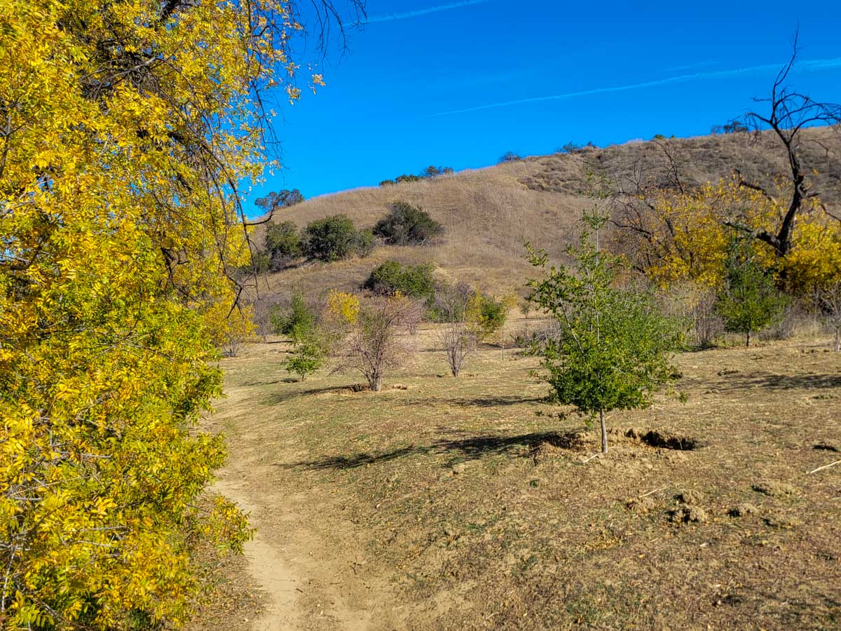 Corbin Canyon Trail Guide | Outdoor SoCal