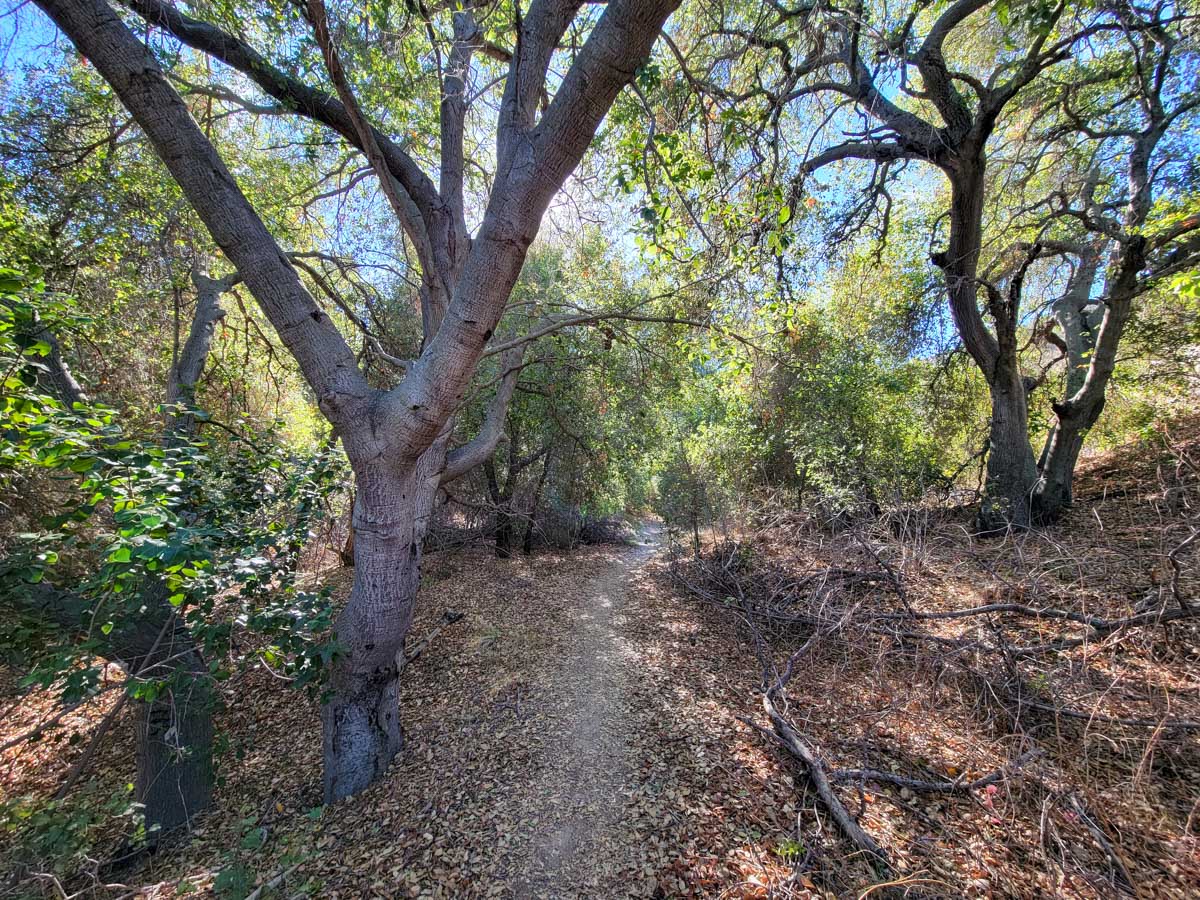 Corbin Canyon Trail Guide | Outdoor SoCal