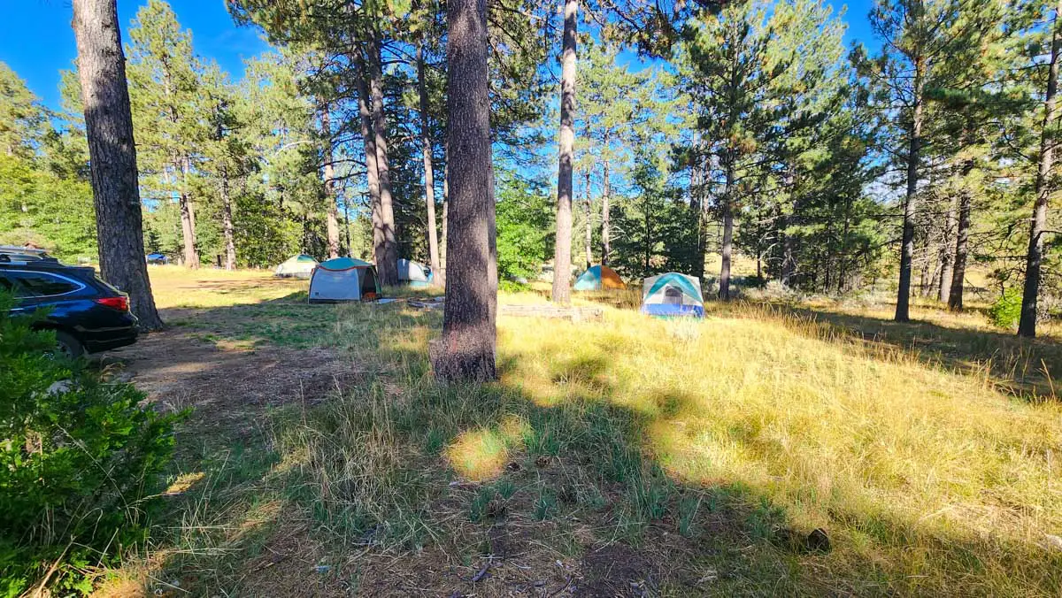 El Prado Group Campground - Laguna Mountains | Outdoor SoCal