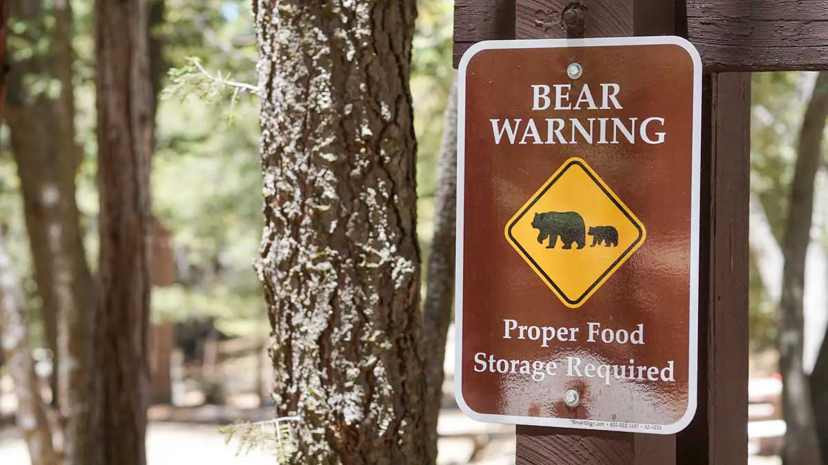 Fern Basin Campground - Idyllwild | Outdoor SoCal