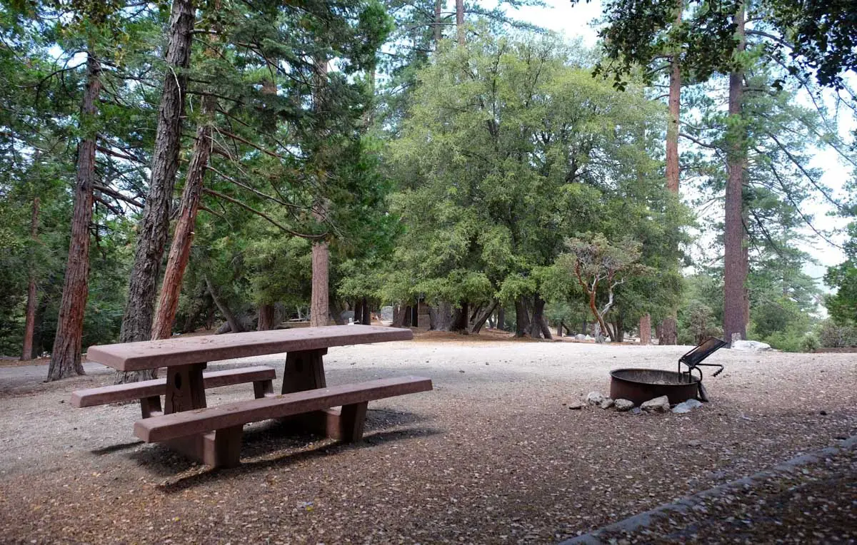 Escape To Enchantment: Your Guide To Southern California's Fern Basin ...