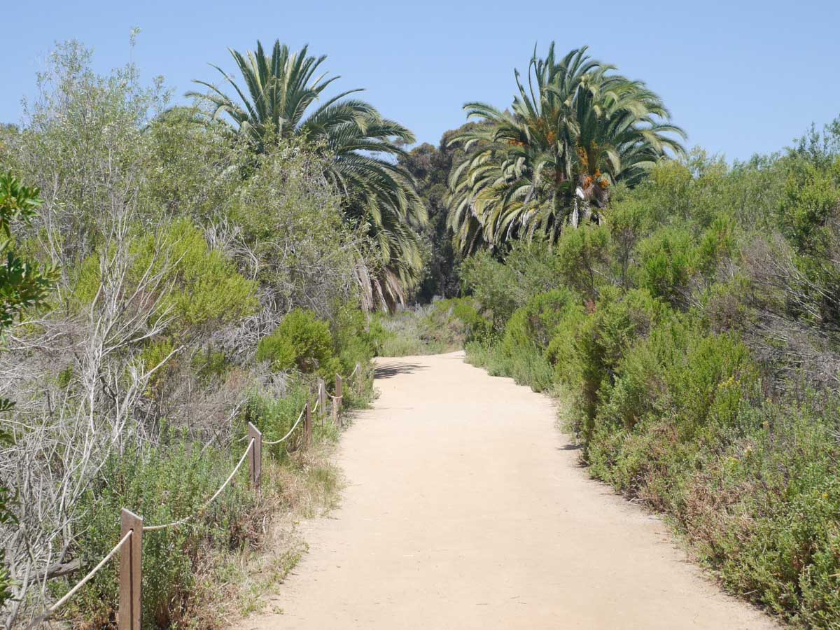 Batiquitos Lagoon Trail Hiking Guide | Outdoor SoCal