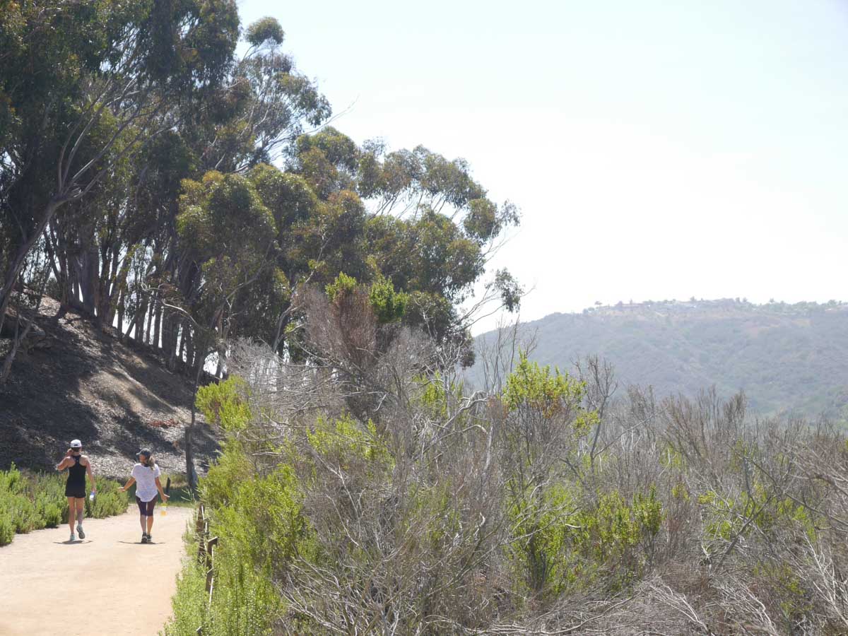 Batiquitos Lagoon Trail Hiking Guide | Outdoor SoCal