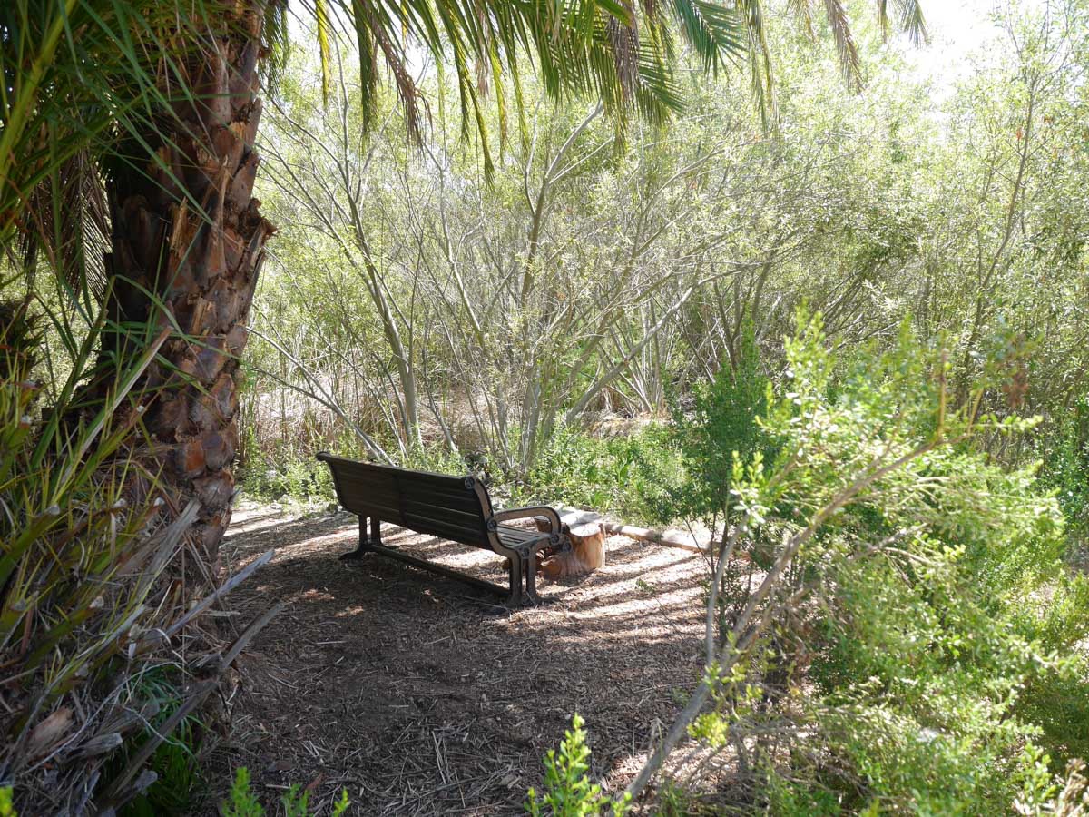 Batiquitos Lagoon Trail Hiking Guide | Outdoor SoCal