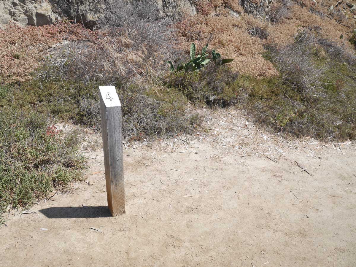 Batiquitos Lagoon Trail Hiking Guide | Outdoor SoCal