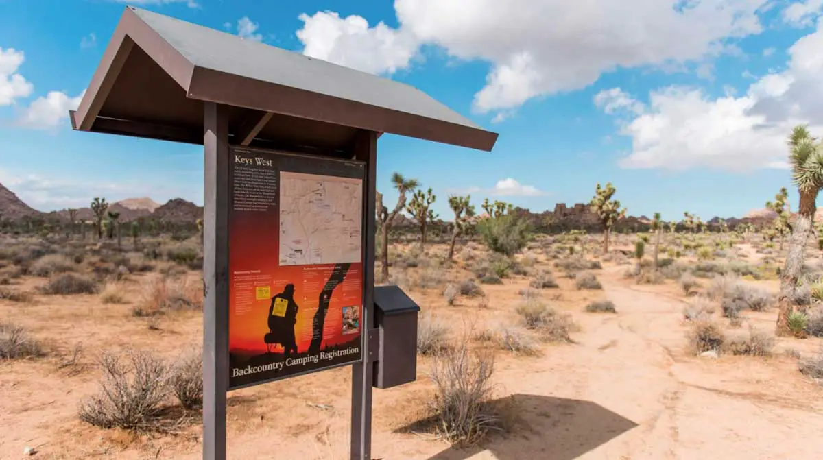 Boy Scout Trail - Joshua Tree | Outdoor SoCal