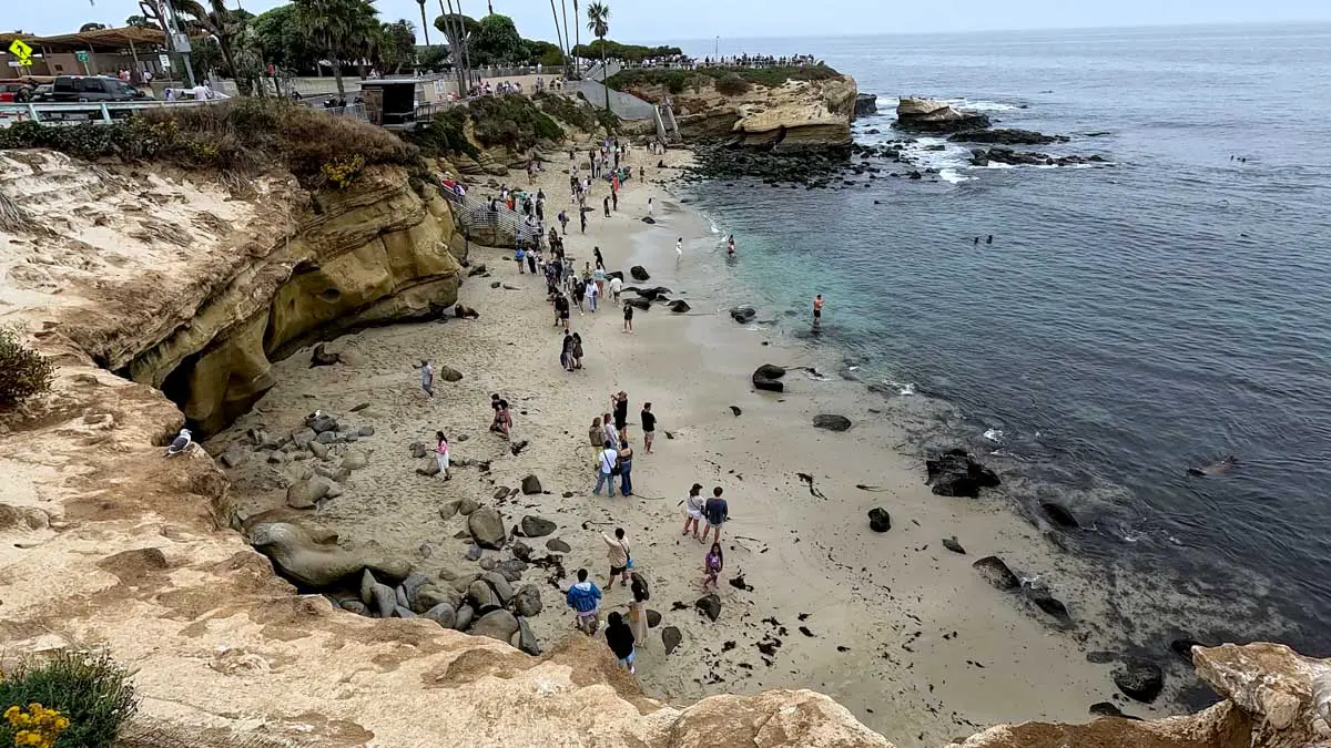 Kayaking La Jolla Sea Cliffs, Caves and Cove | Outdoor SoCal