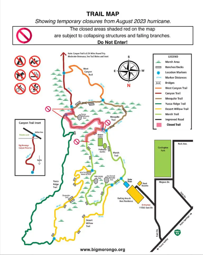 Big Morongo Canyon Hiking Guide | Outdoor SoCal