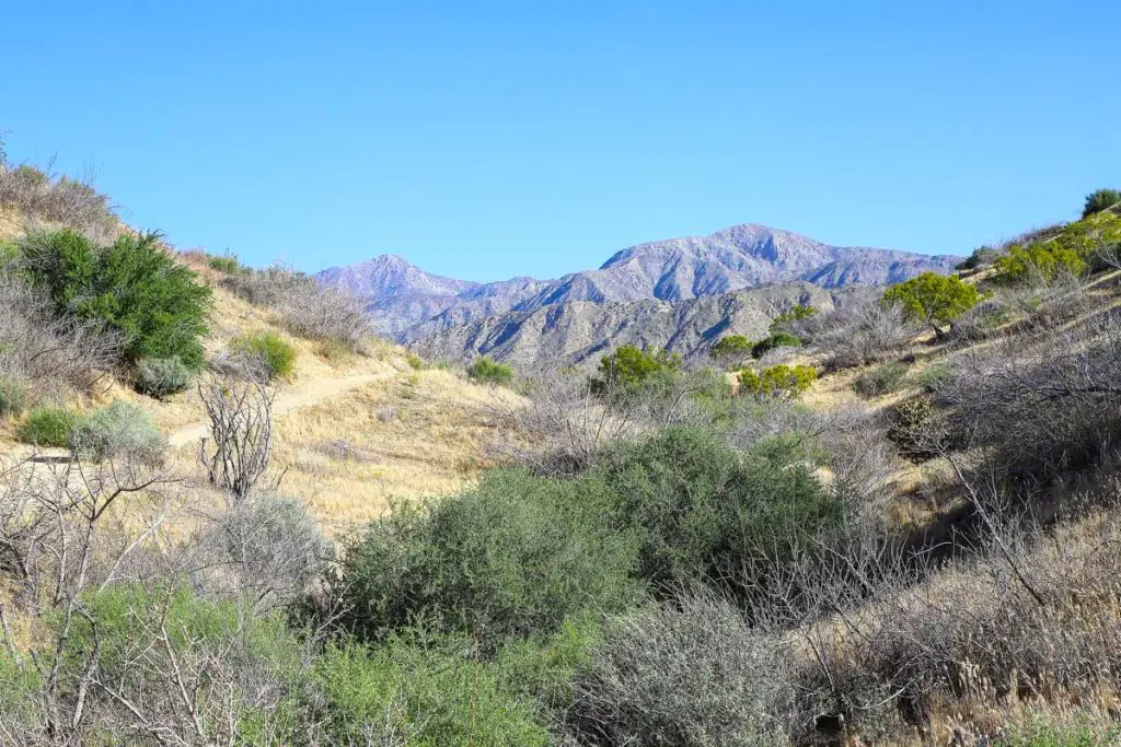 Big Morongo Canyon Hiking Guide | Outdoor SoCal