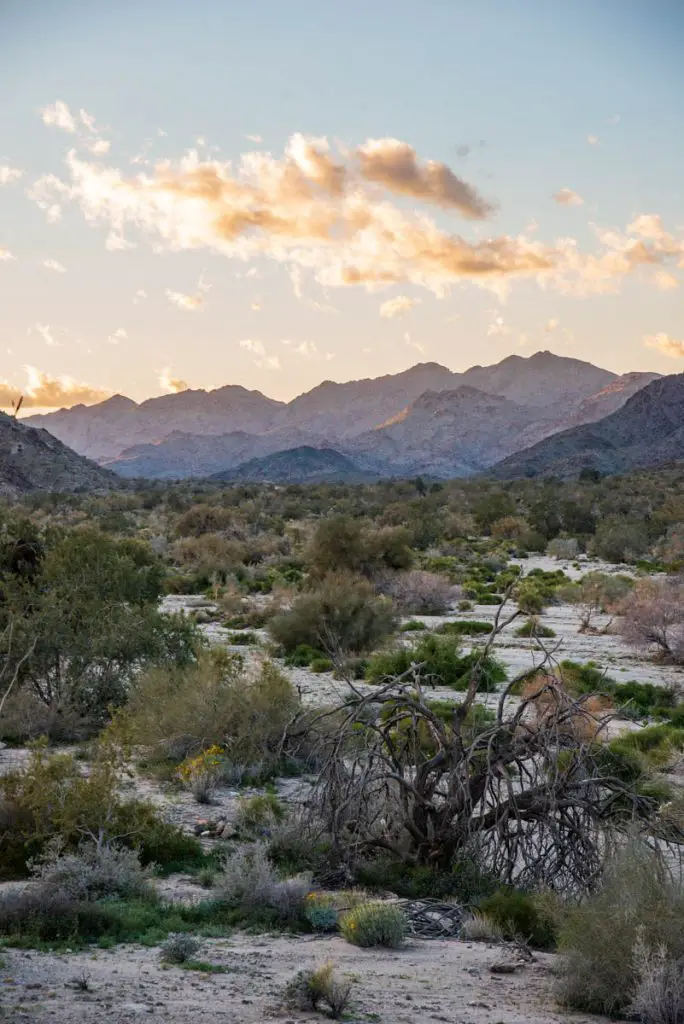 Mount Laguna Camping Guide | Outdoor SoCal