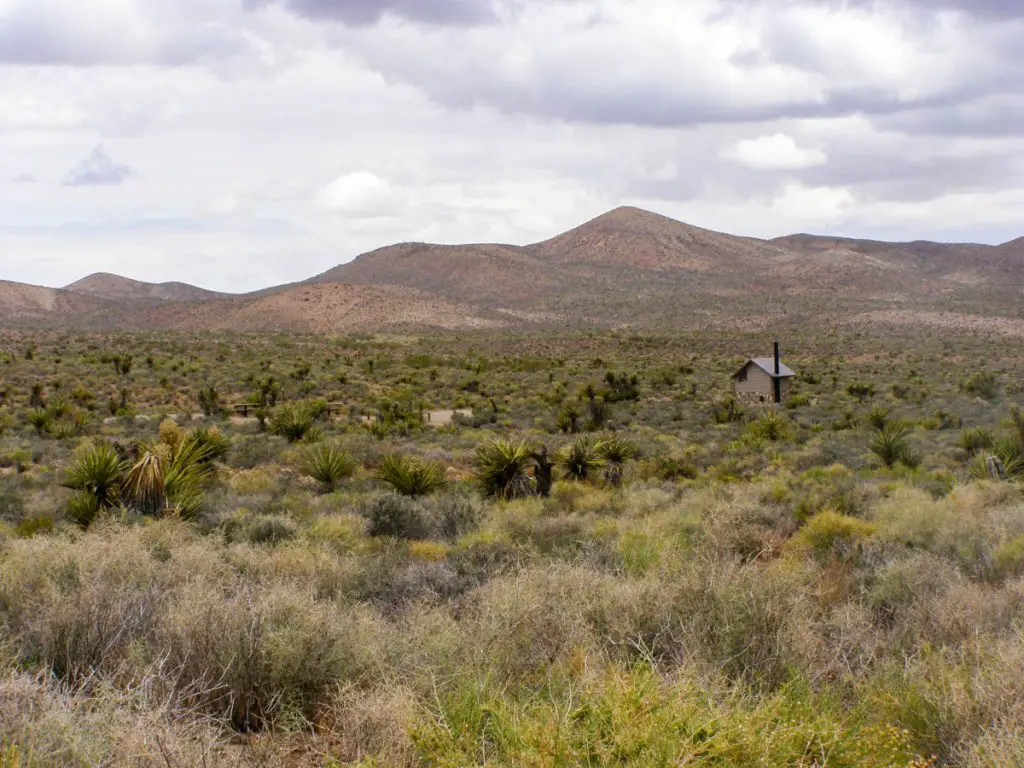 Horsethief Campground (aka Horse Springs Campground) – Mojave Desert ...