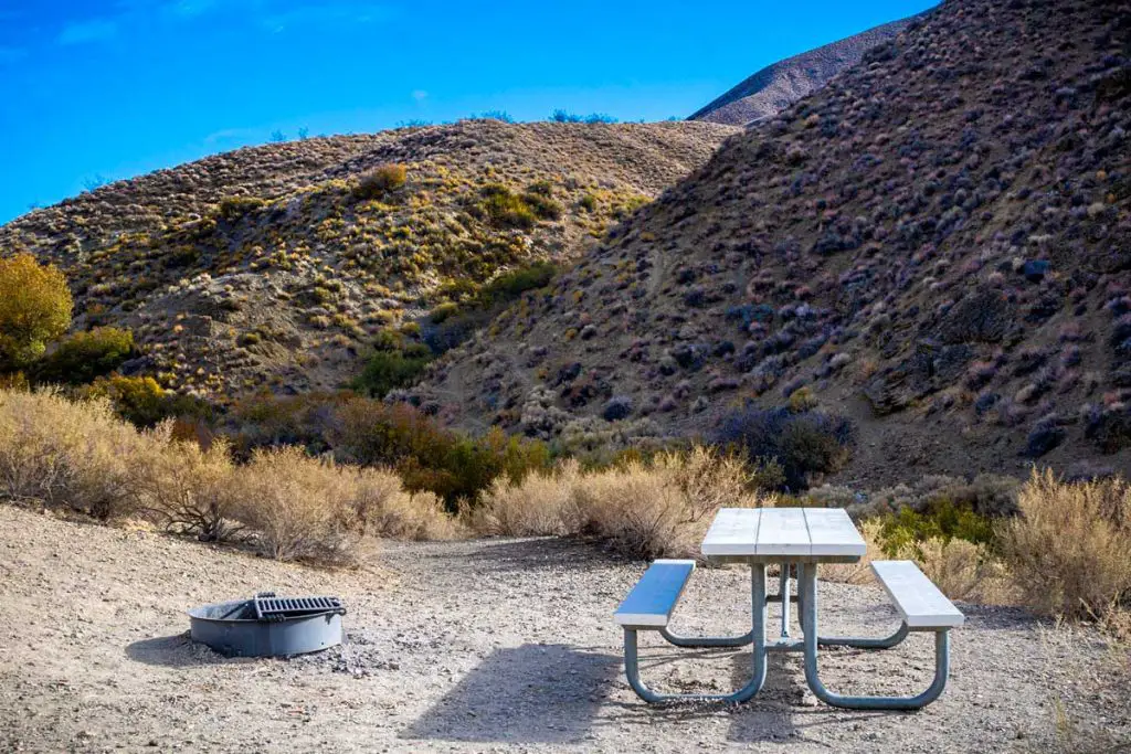 Anza-Borrego Camping Guide [2025]