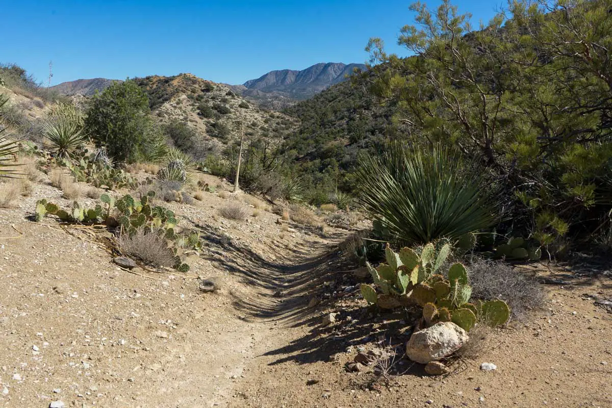 Cactus Spring Trail - Santa Rosa Mountains | Outdoor SoCal