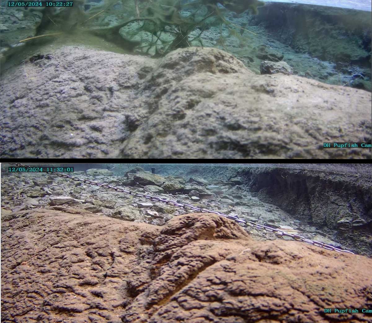 Off-Shore Earthquake Rocks Devils Hole, Endangered Death Valley Pupfish ...