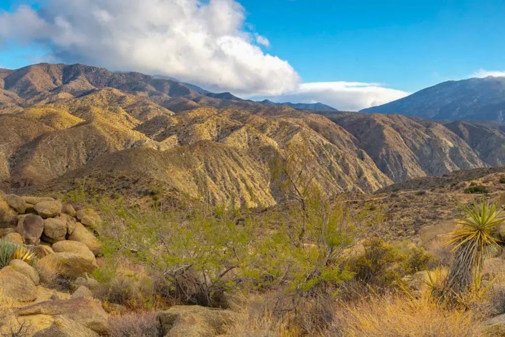 Santa Rosa and San Jacinto Mountains National Monument | Outdoor SoCal