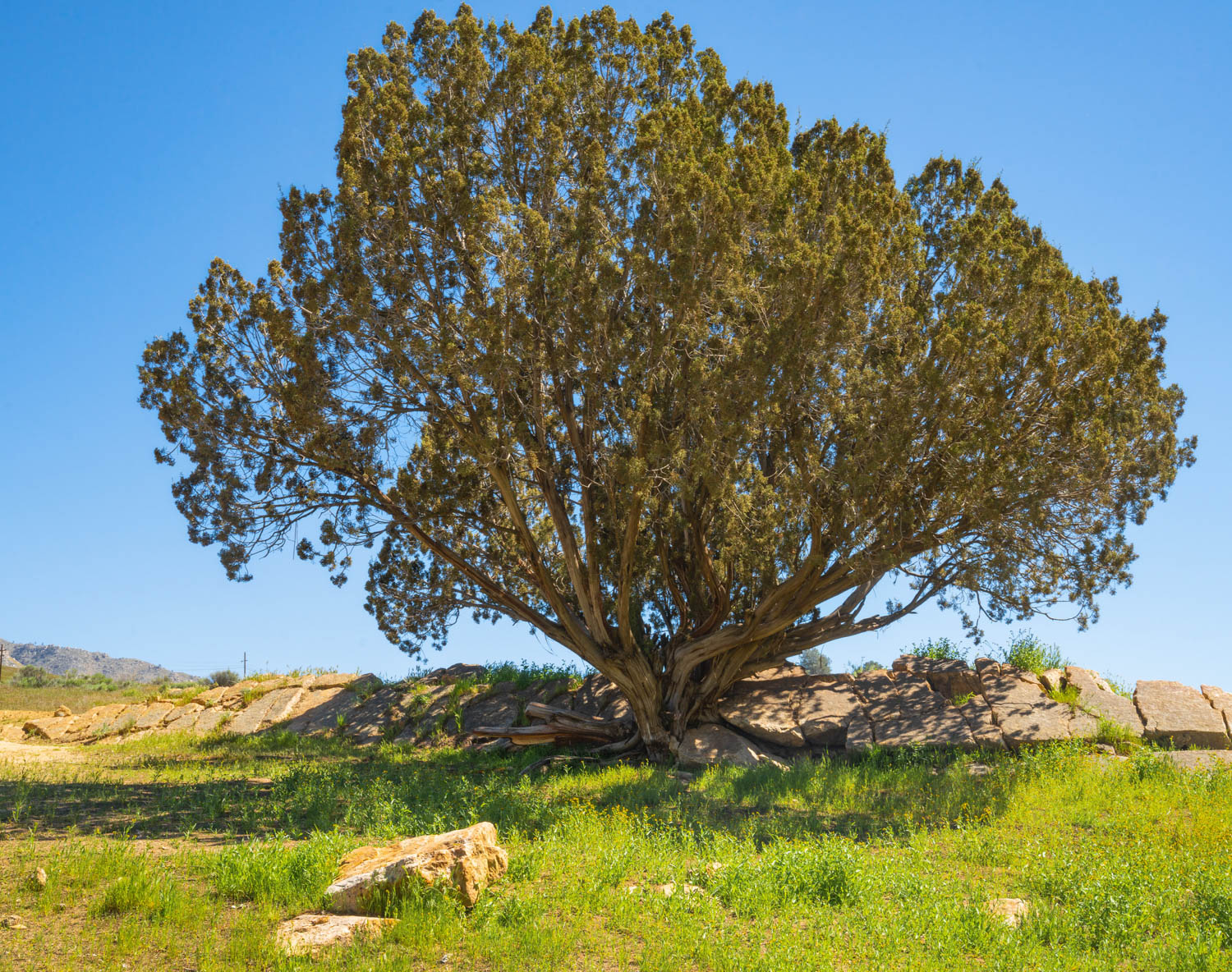 Keysville Recreation Area Camping and Adventure Guide | Outdoor SoCal