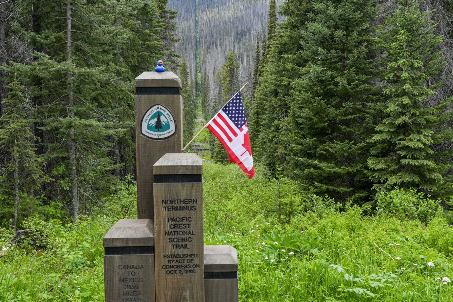 Canada Blocks PCT Hikers from Border Crossings Along Trail | Outdoor SoCal