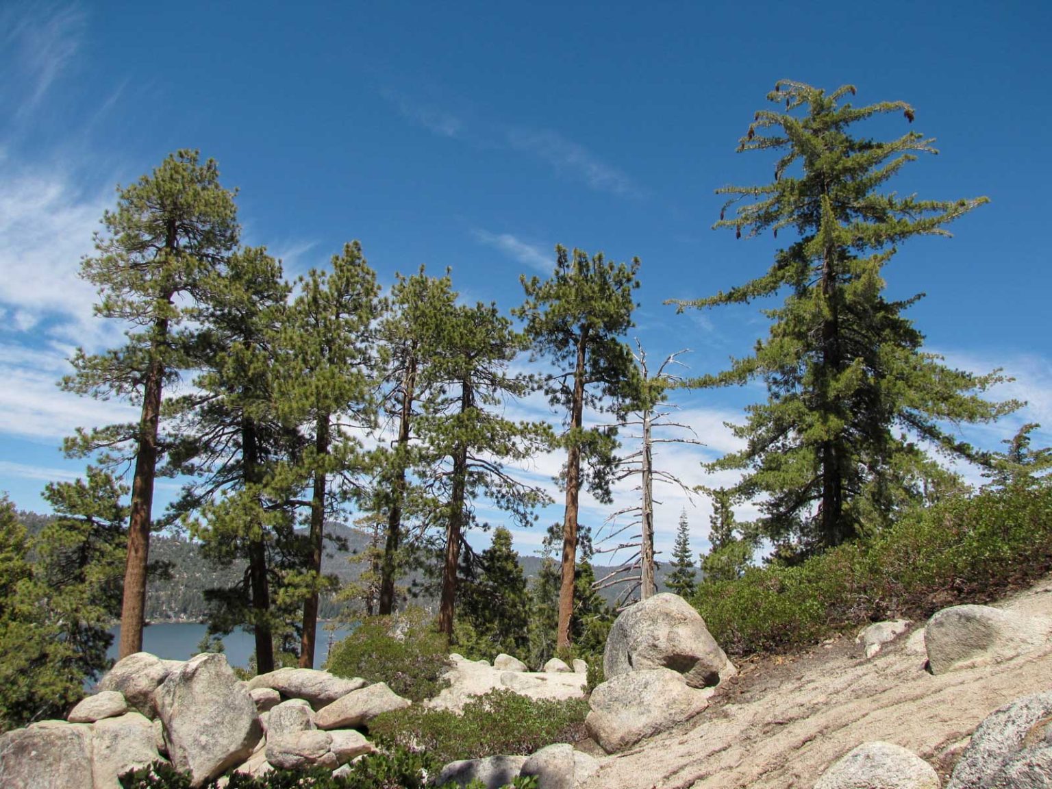 Franklin Canyon Park Trail Guide | Outdoor SoCal